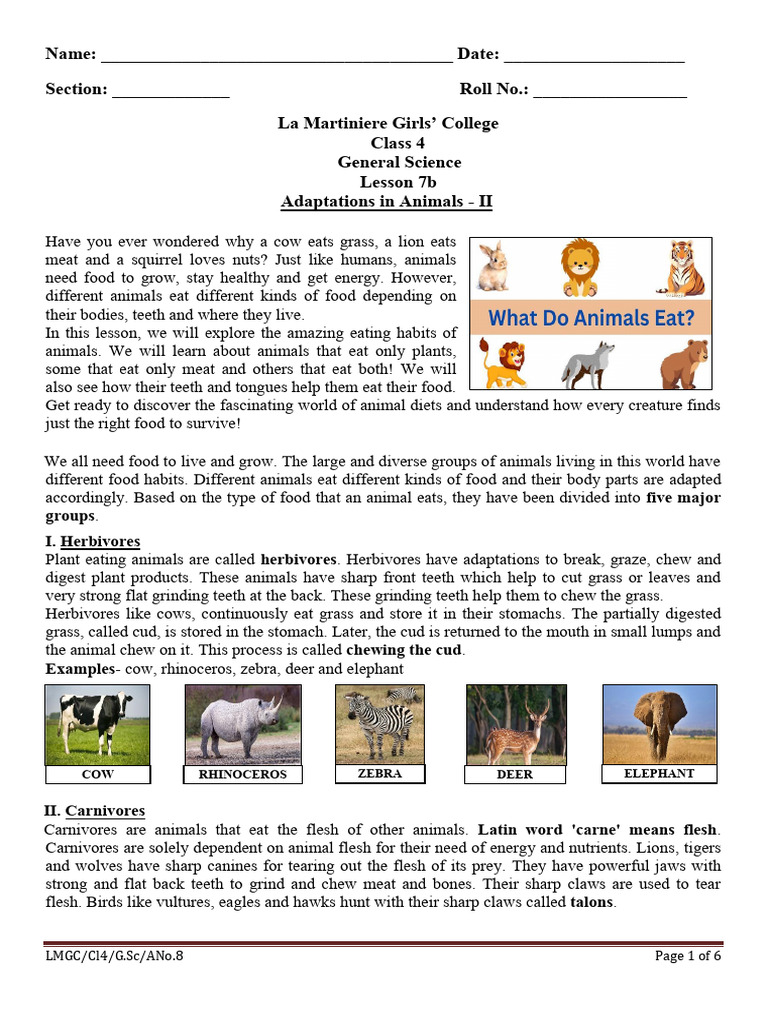 Lesson 7b- Adaptations in Animals-II | PDF | Predation | Foods
