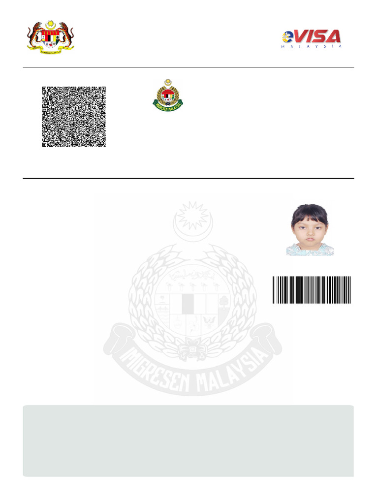 Ayzal Marium Malaysia E-Visa | PDF | Travel Visa | Passport