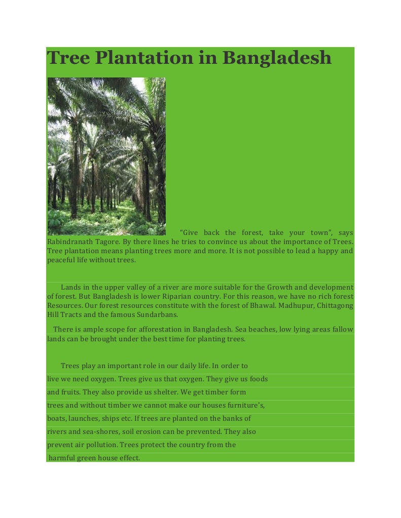 Importance of Tree Plantation in Bangladesh | PDF | Trees | Deforestation