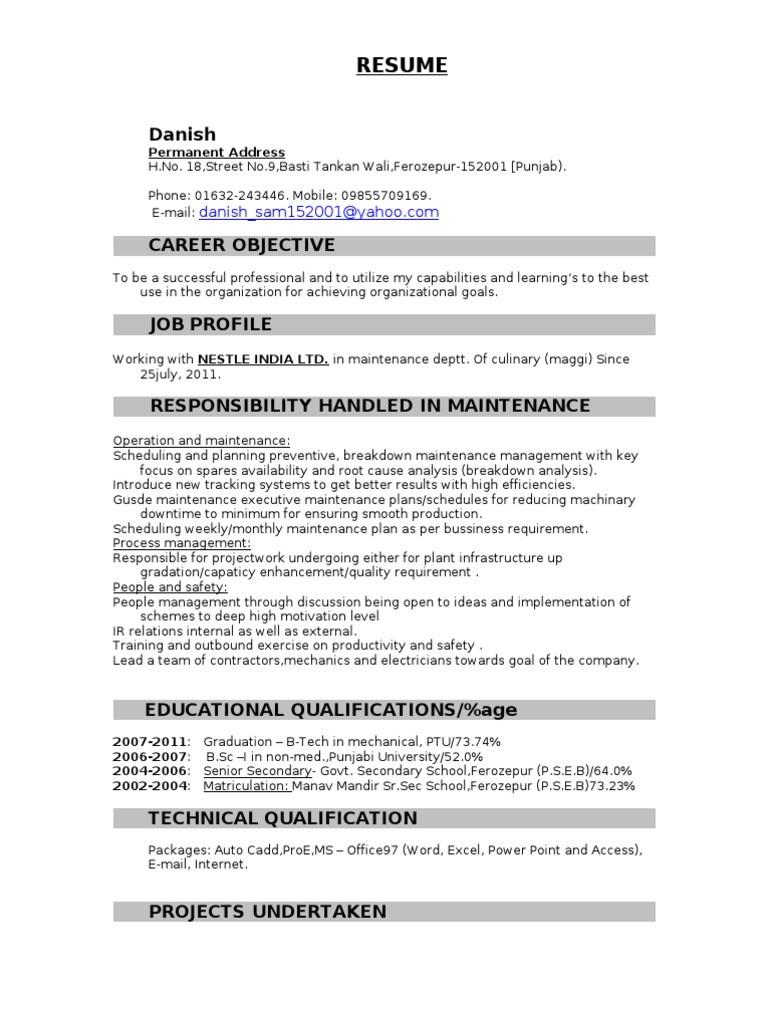 Danish: Resume | Download Free PDF | Business