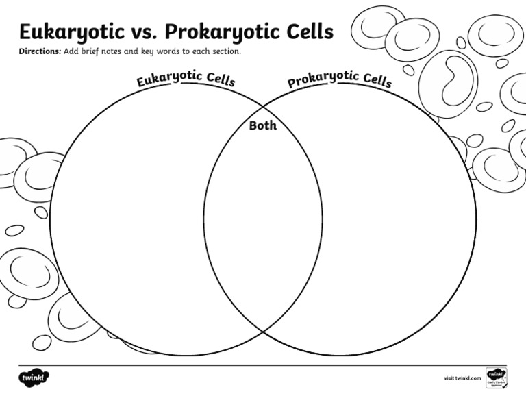 CS8 - WORKSHEET 2 Eukaryotic vs. Prokaryotic Cells | PDF
