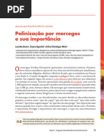 Vombate: Cocô em Forma de Cubo | PDF