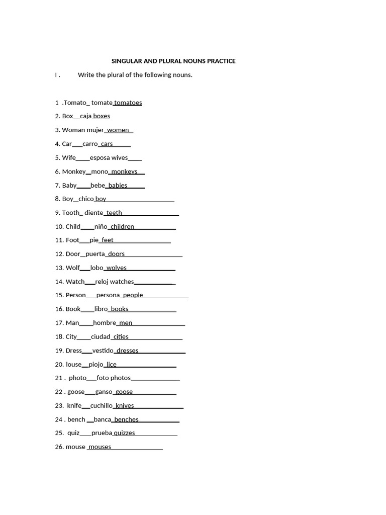 Singular and Plural Nouns Practice | PDF