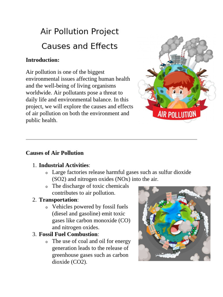 Air Pollution Project | PDF | Air Pollution | Climate Change