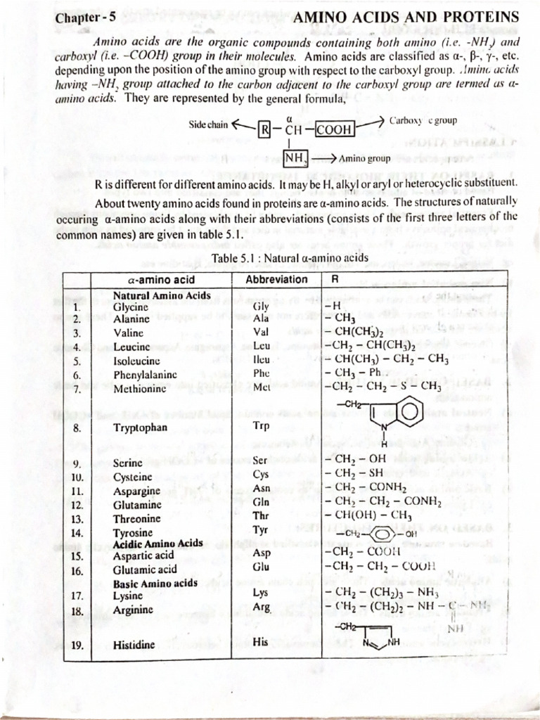 Amino Acids, Peptides and Proteins | PDF
