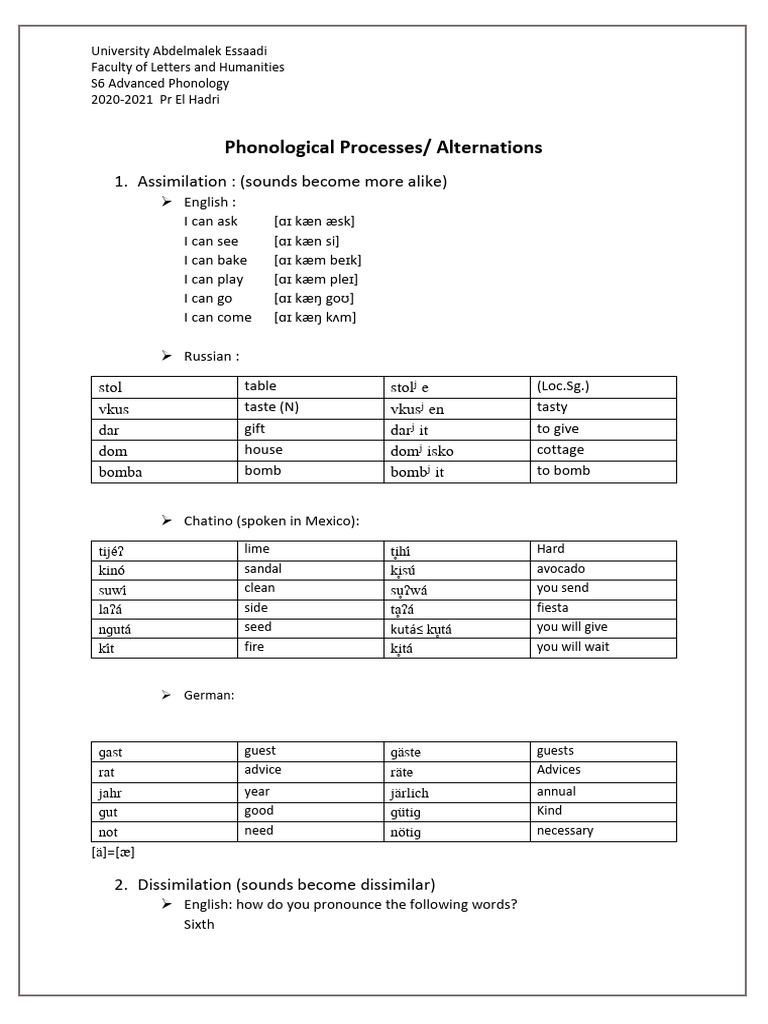 Phonological Processes | PDF | Phonetics | Linguistics