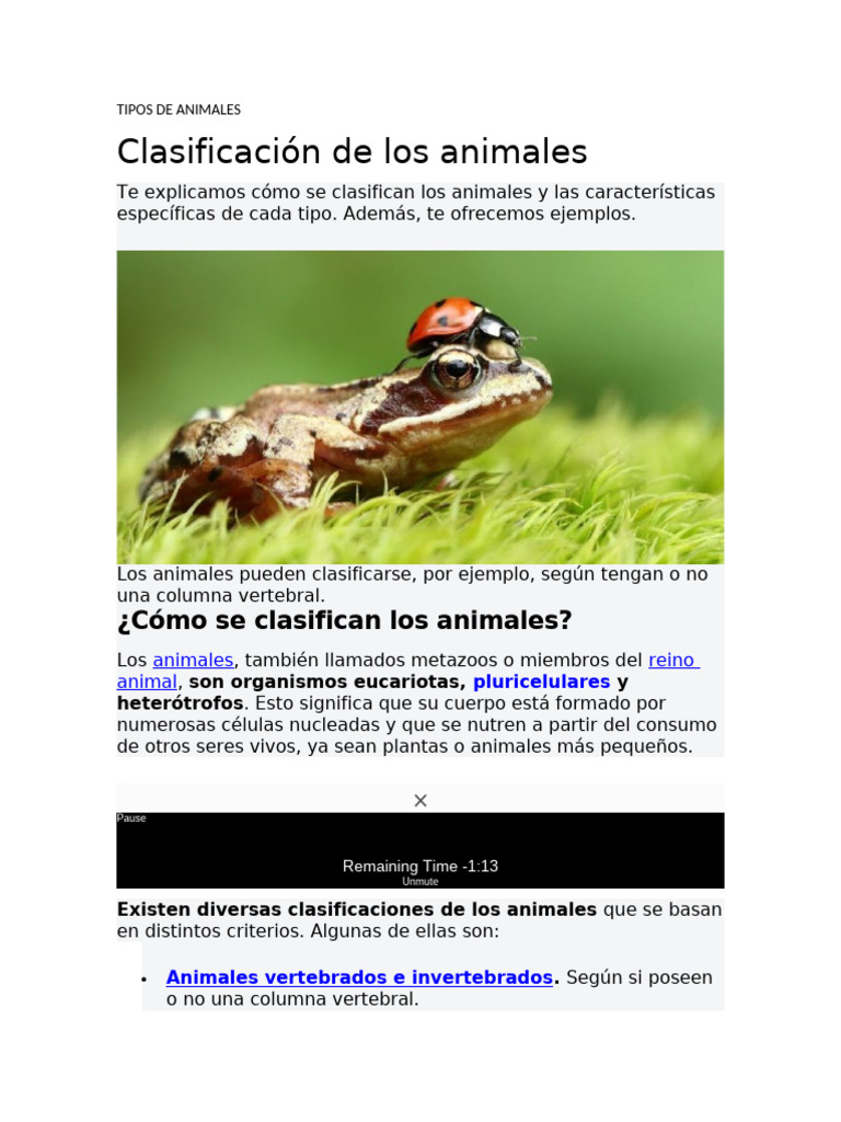 Tipos de Animales | PDF | Vertebrados | Herbívoro