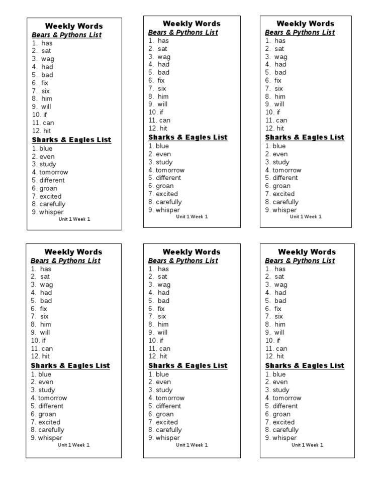 Spelling Unit 1.1 David's New Friend | PDF