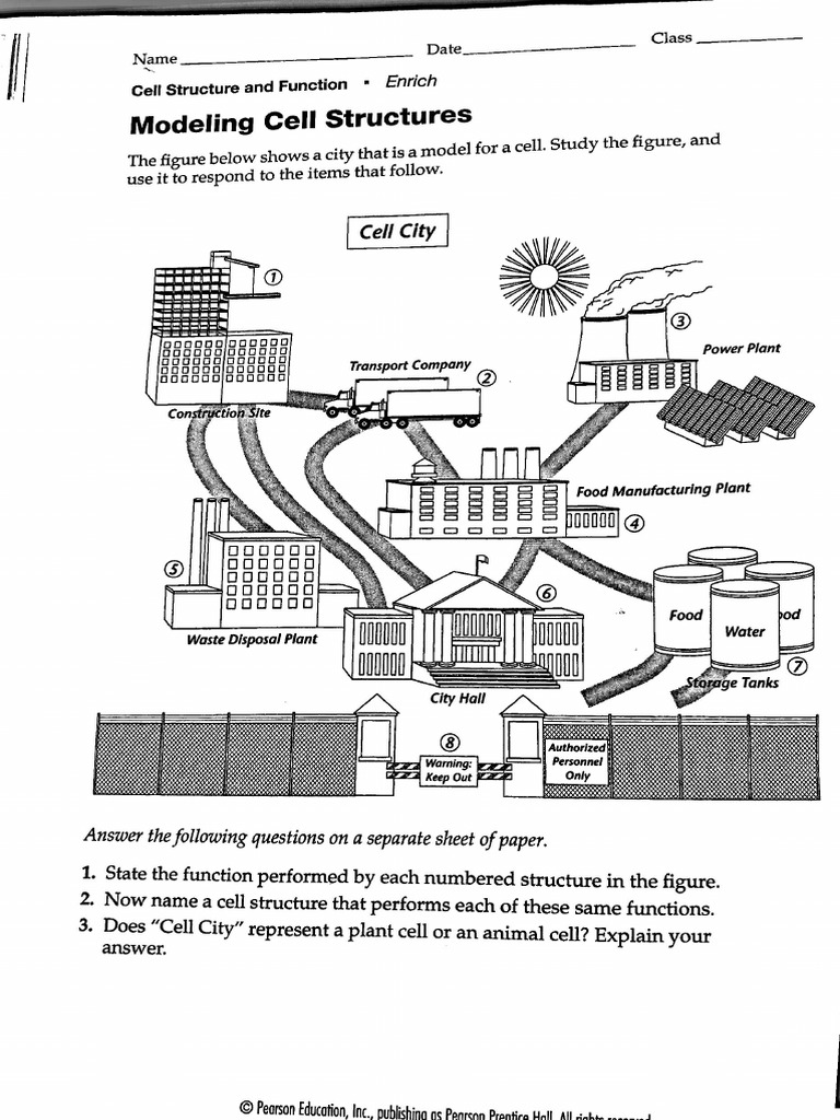 Modeling Cell Structures-1 | PDF