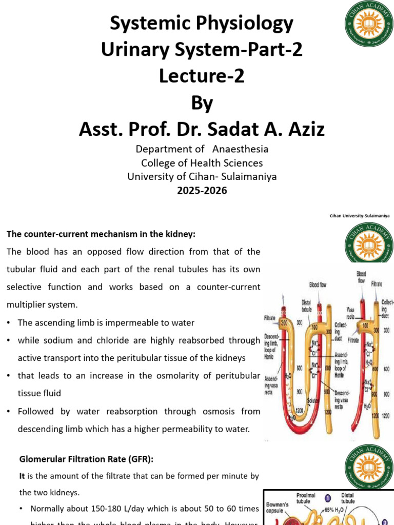 Lecture 2 Urinary System, Part 2 | PDF | Angiotensin | Kidney