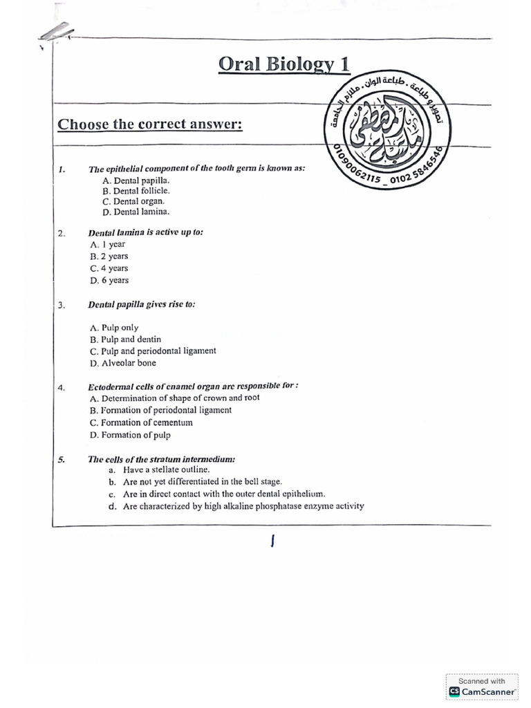 Oral Biology Final Question | PDF