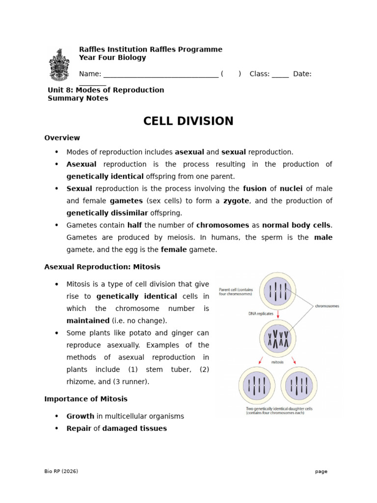 2026 Cell Division Summary Notes - ANS | PDF