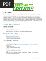 Strawberry Plant Anatomy for Kids | PDF | Fruit | Strawberry