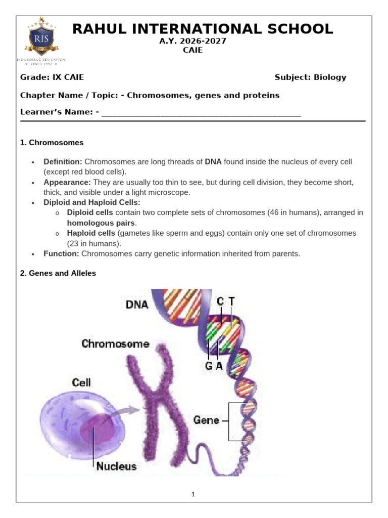 Chromosomes, Genes and Proteins | PDF | Dominance (Genetics) | Genotype