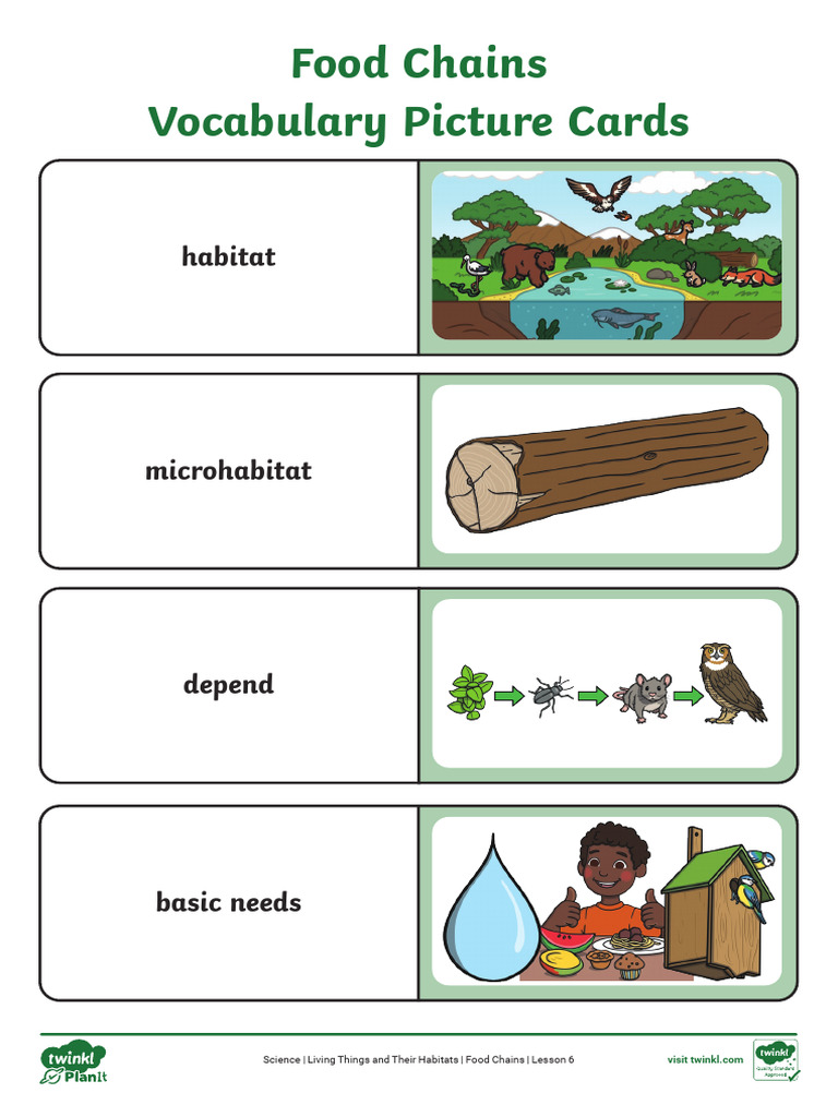 Food Chains Vocabulary Picture Cards | PDF