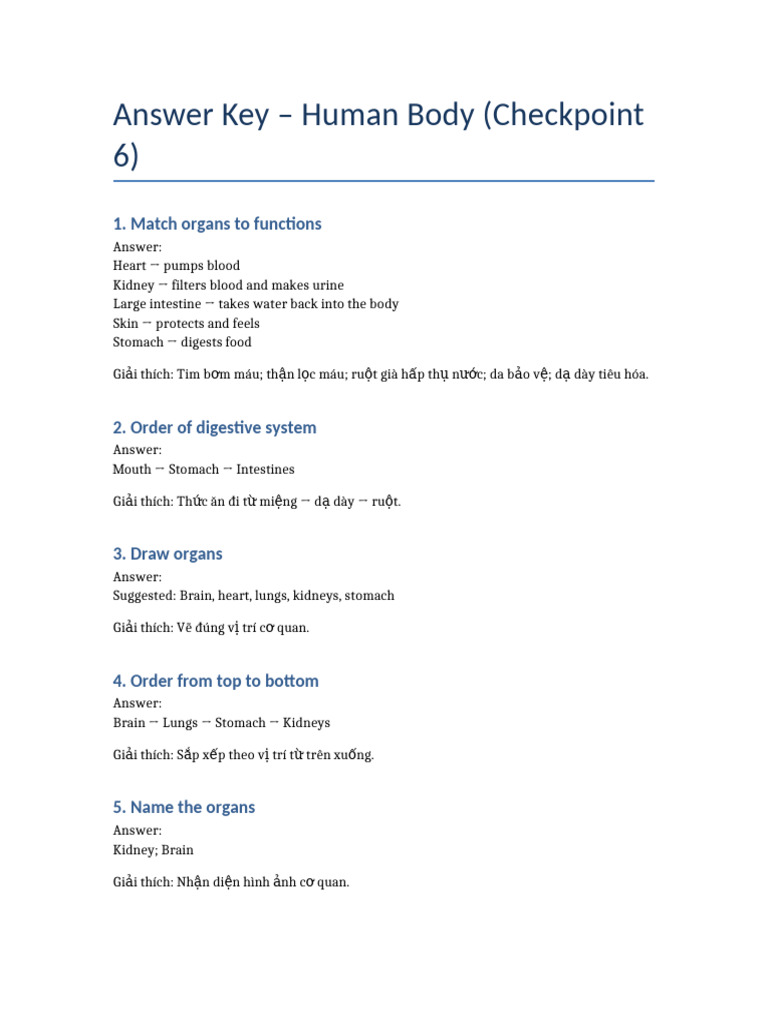 Answer Key Human Body | PDF