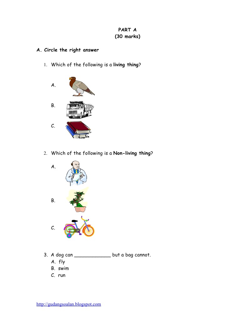 Science Year 2 | PDF