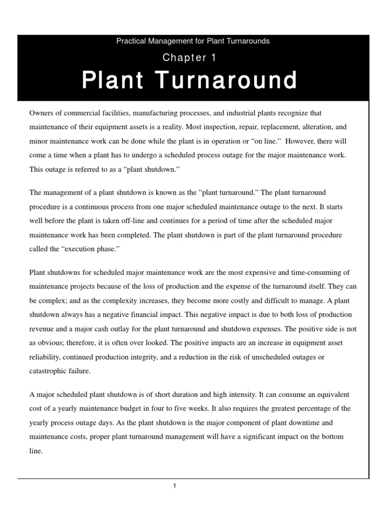 Plant Turnarounds | PDF | Reliability Engineering | Strategic Management