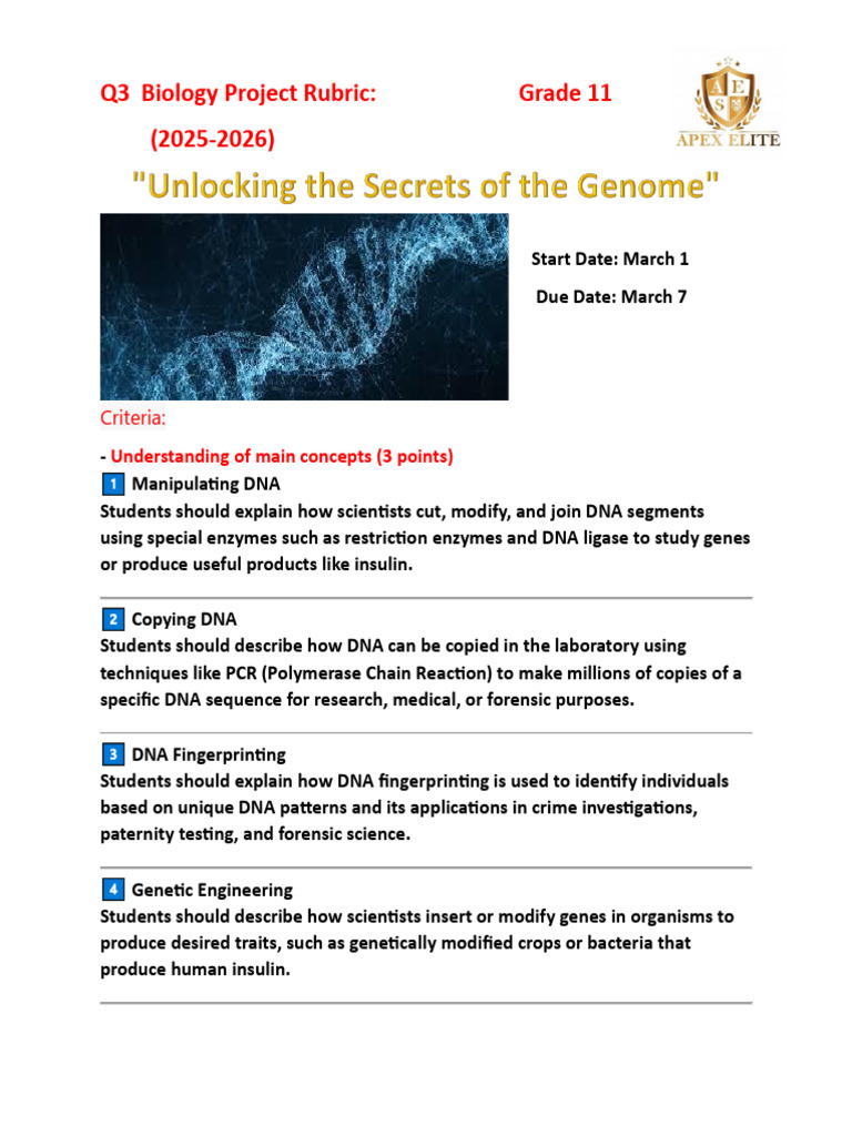 Grade 11 Biology Project Rubric Q3 | PDF | Dna | Genetics