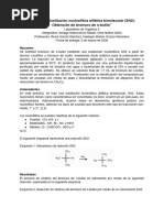 Obtención de Bromuro de n-Butilo | PDF | Química | Química Orgánica