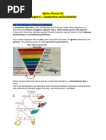 Kelp Forest Food Web Overview | PDF