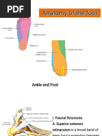 Anatomy of Ankle Retinacula | PDF