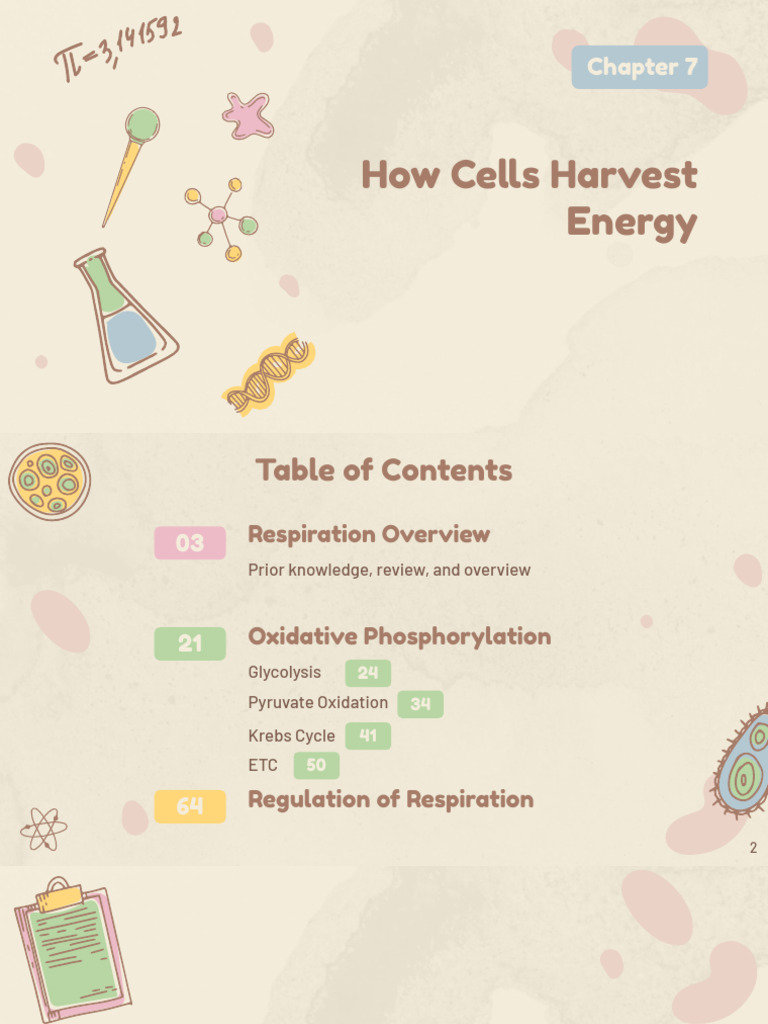 AP Biology Cell Respiration | PDF | Cellular Respiration | Adenosine ...