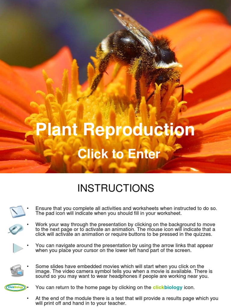 Plant-Reproduction Power Point | PDF | Pollination | Flowers
