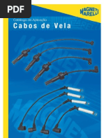 Vetor - Palhetas 2021 | PDF