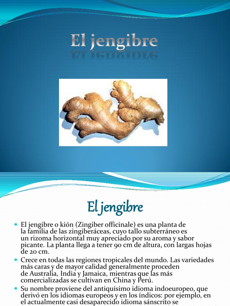 El Kion | PDF | Jengibre | Alimentos
