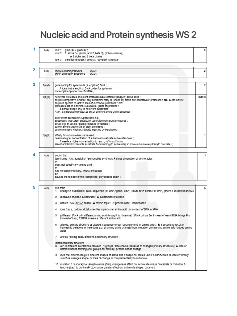 NucleicacidandProteinsynthesisWorksheet2THEORYANSWERS | PDF ...