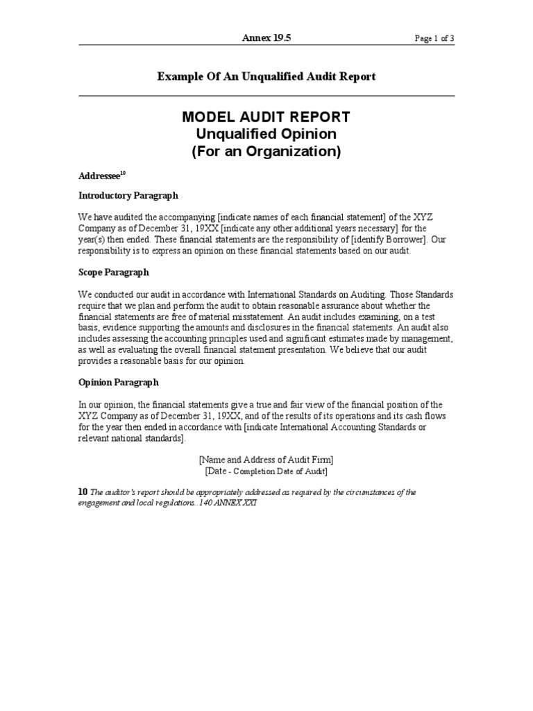 Sample Audit Reports | PDF | Auditor's Report | Financial Audit