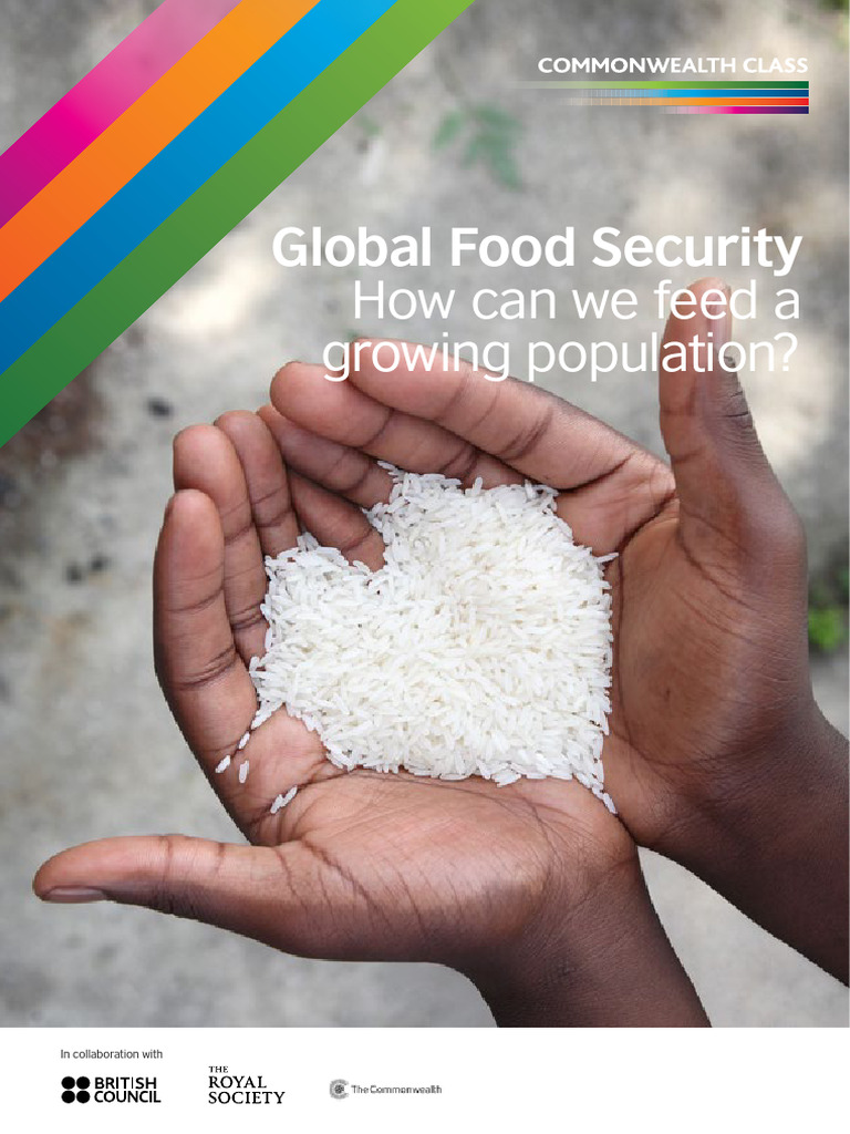 Global Food Security How Do We Feed a Growing Population Web | PDF ...