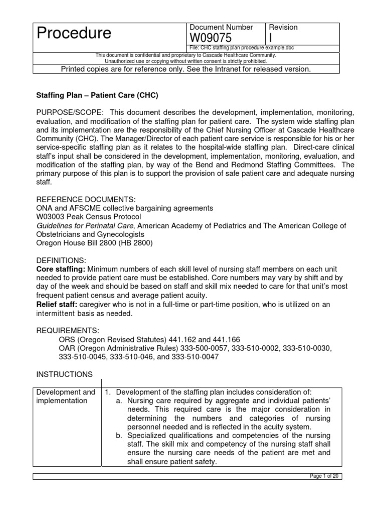 CHC Patient Care Staffing Plan Guide | PDF | Nursing | Competence ...