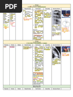 Apical Lordotic Chest X-Ray Positioning | PDF | Thorax (Human Anatomy ...