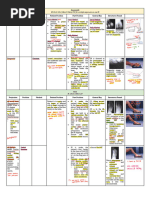 X-Ray Positioning for Toes and Sesamoids | PDF
