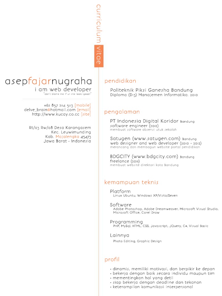 Web Developer's CV & Skills | PDF