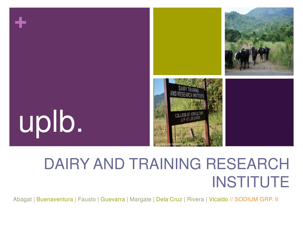 STR1 - Dairy Training and Research Institute | PDF | Yogurt | Dairy