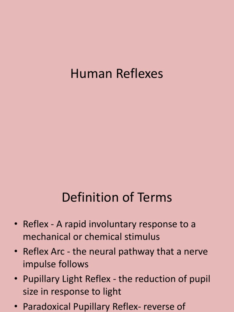 Human Reflex | Ophthalmology | Earth & Life Sciences