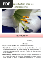 Le Carpelle : Organe des Angiospermes | PDF | Fruit | Embryon