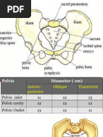 Contracted Pelvis and Management | PDF | Pelvis | Childbirth