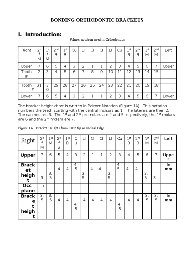 Bonding Orthodontic Brackets | PDF | Tooth Enamel | Dental Anatomy