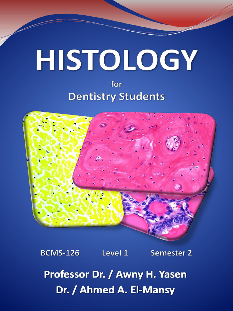 Dentistry Histology Book 2023 | PDF | Epithelium | Endoplasmic Reticulum