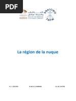 Anatomie du Muscle Sterno-Cléido-Mastoïdien | PDF | Cou | Artère ...