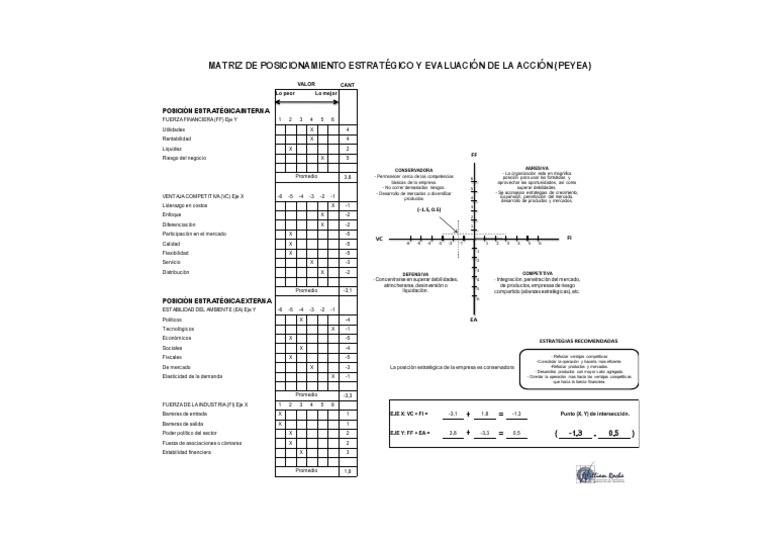 Matriz Peyea Ejemplo