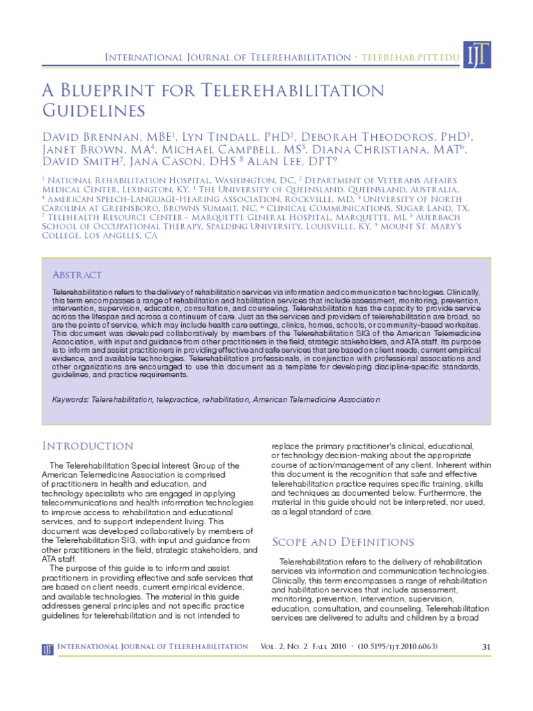 Blueprint For Telerehab Guidelines | PDF | Telemedicine | Physical Therapy