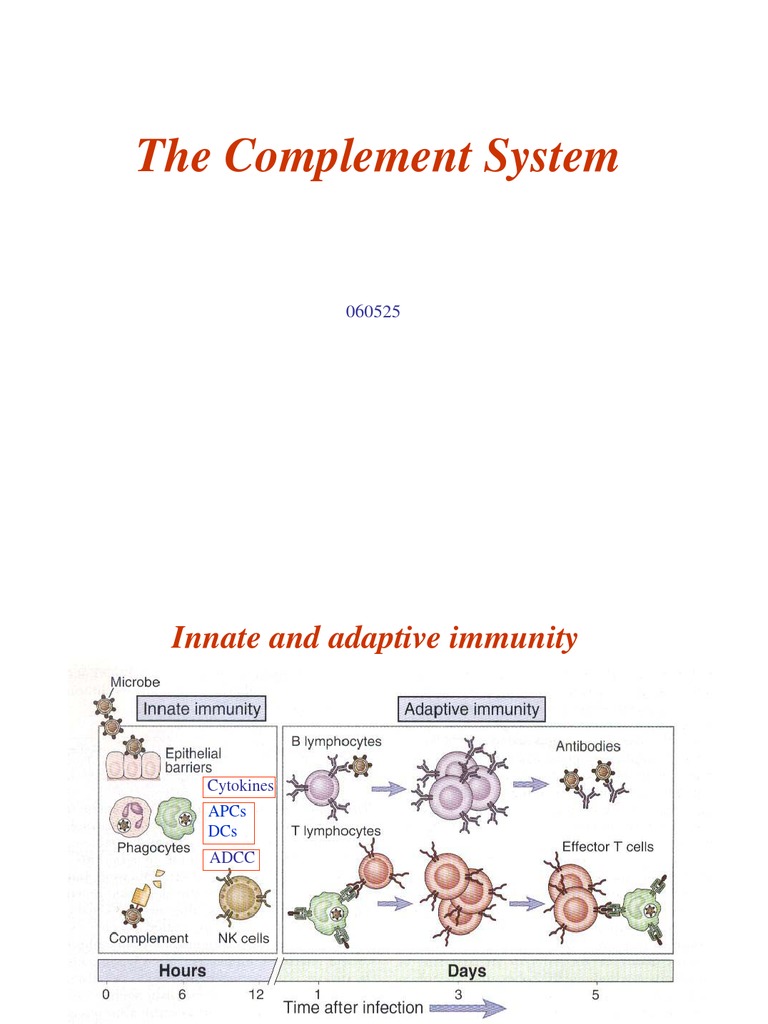 The Complement System | PDF | Complement System | Immune System