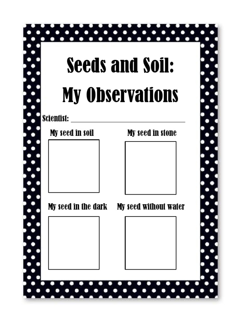 Observations on Seeds and Soil Conditions | PDF | Home & Garden
