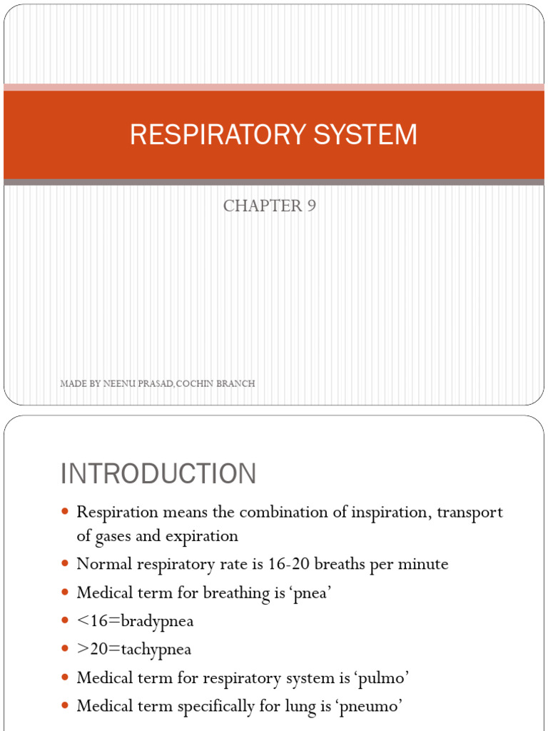 9.Respiratory System | PDF | Respiratory Diseases | Lung