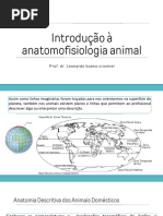 Simetria Corporal em Animais | PDF | Sistema nervoso | Corpo humano